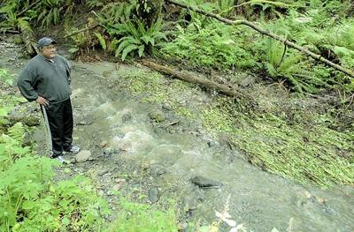 Retention pond failure damages salmon habitat | News | goskagit.com