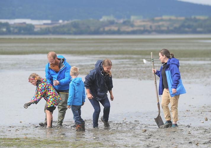 Mudflat Safari | Gallery | goskagit.com