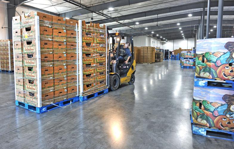 Bay Baby Produce bringing new value to pumpkins | Local News | goskagit.com