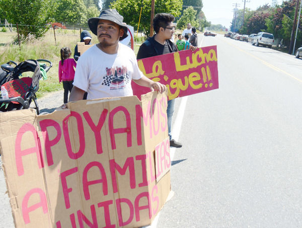 Sakuma Bros. farmworkers walk off the job | All Access | goskagit.com