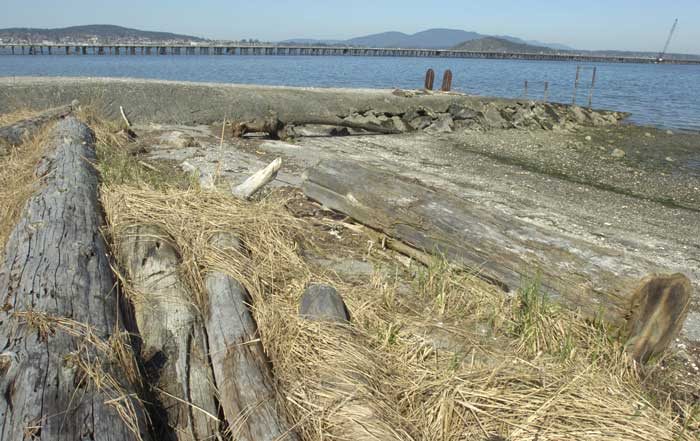 Saving the beaches | News | goskagit.com