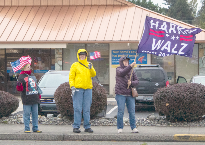Harris/Walz supporters hold rally in Anacortes | Local News | goskagit.com