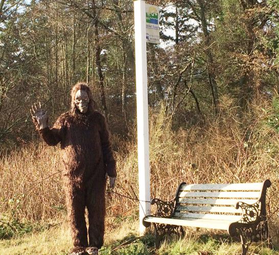 Taming Bigfoot with Island Transit | 360 | goskagit.com