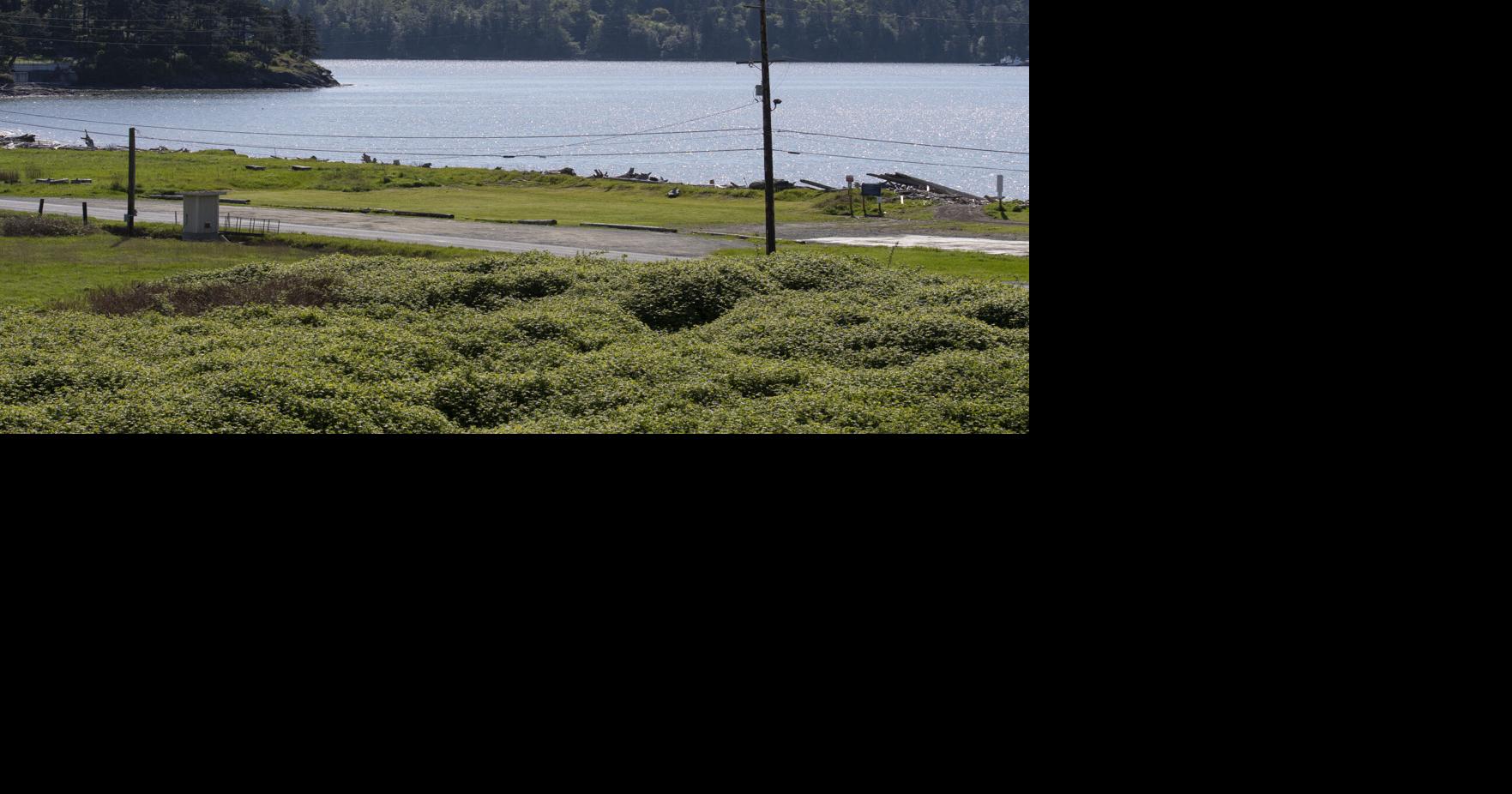 Federal grant to help support restoration of Similk estuary ...