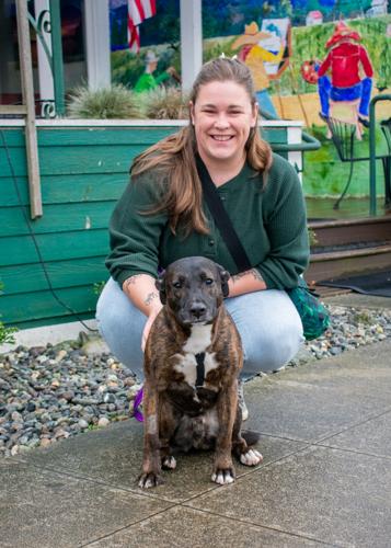 Boogie Bin aims to help animal-related nonprofits | SC News | goskagit.com