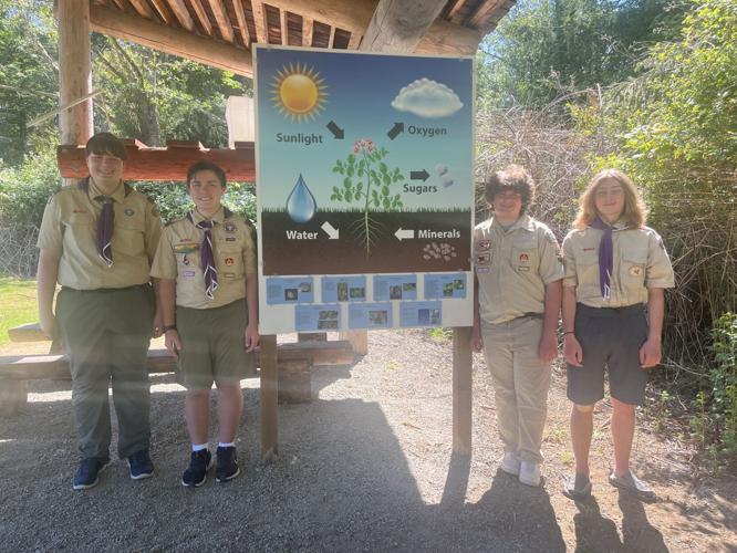 Scout earns Eagle Rank by making major improvements to school trail ...