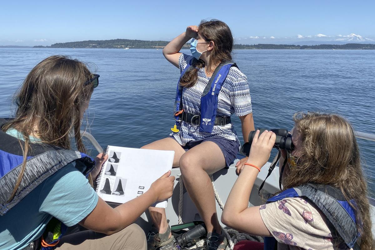 Despite challenges of pandemic, some found silver linings in 2020 ...