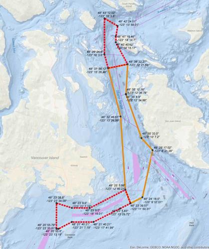 Study looks at how lower speeds affect killer whales | News | goskagit.com