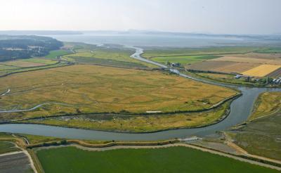 Leque Island closed for restoration project | News | goskagit.com