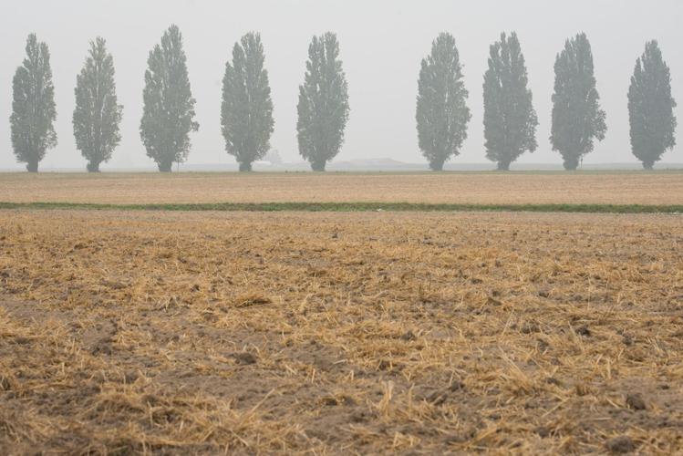 Smoke lingers, extending air quality concerns | Local News | goskagit.com