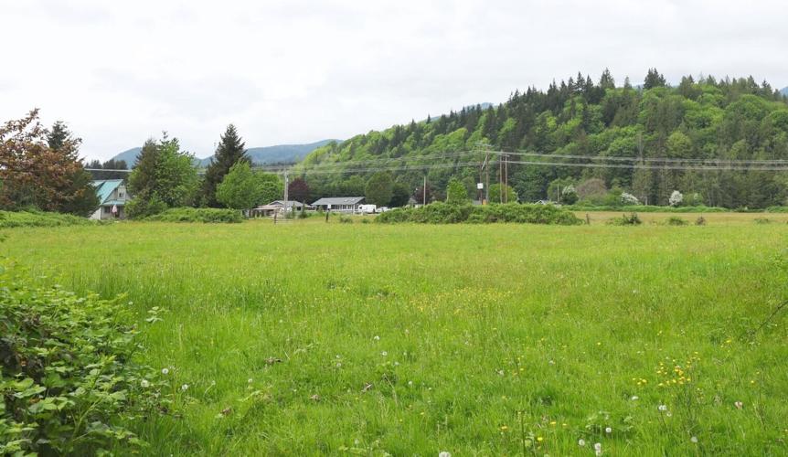 Town of Hamilton critical of Home Trust of Skagit's development plan ...