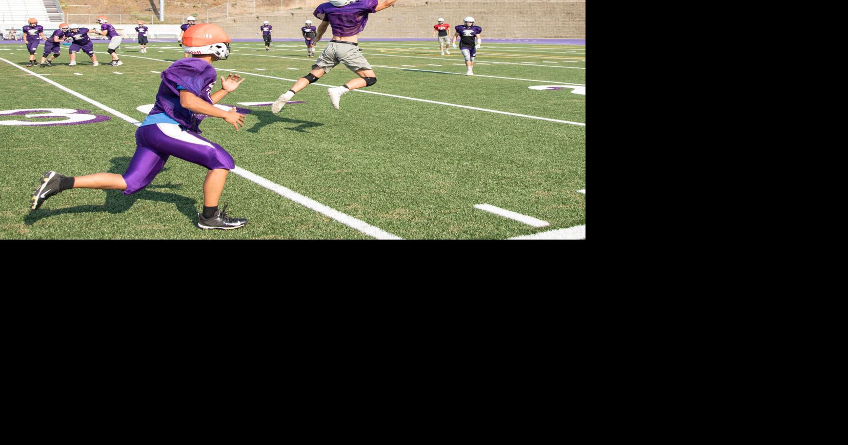 2018 Prep Football Preview: Anacortes Seahawks | Sports | goskagit.com