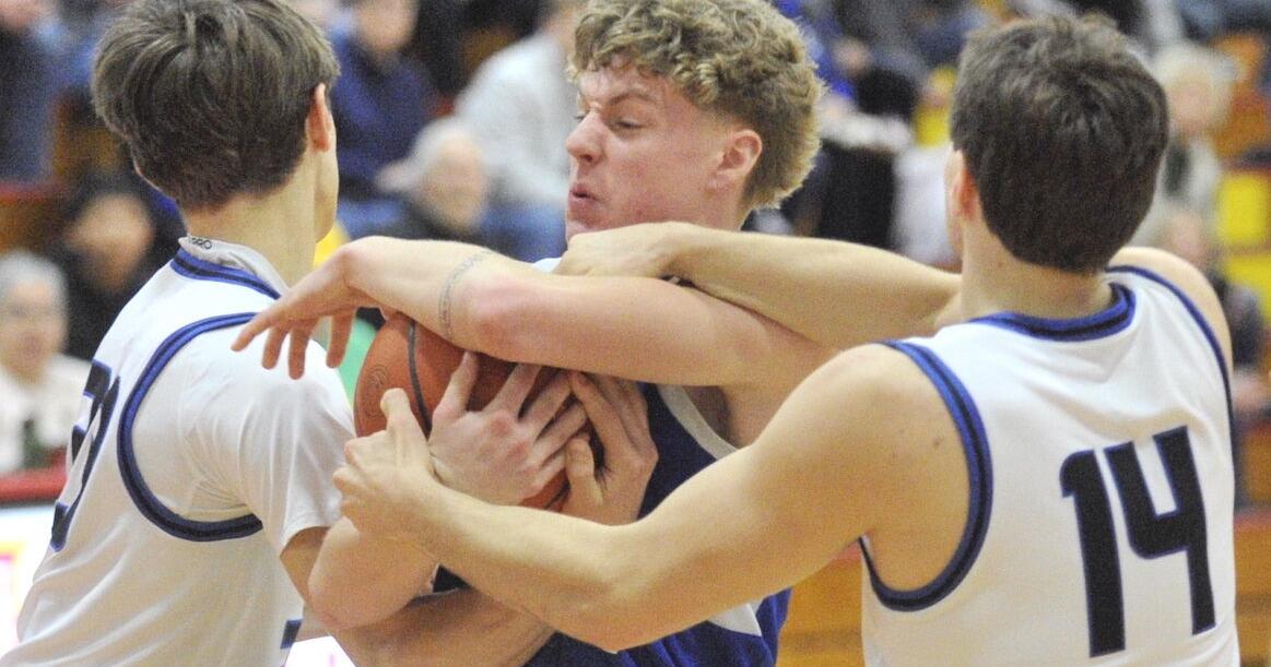 Saturday's Prep Roundup: Cubs fall short of state tournament berth ...