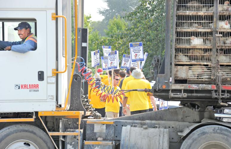 Draper Valley Farms workers picket for better wages, sick leave | Local ...
