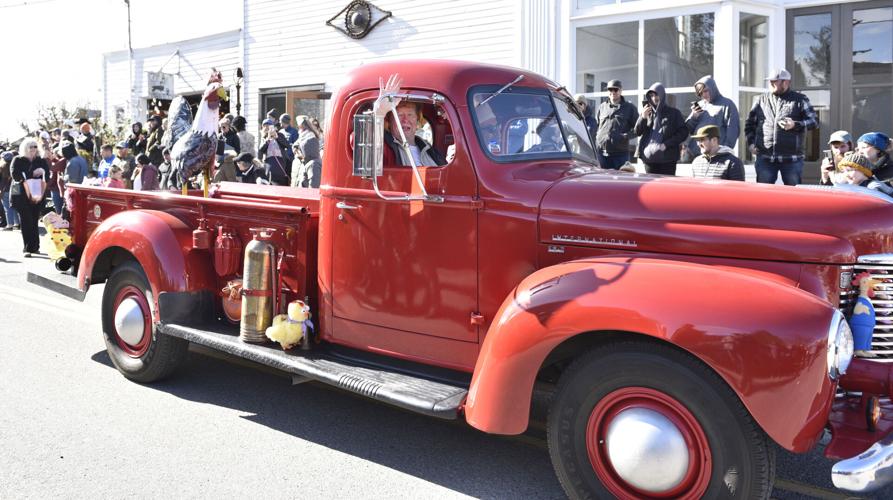Photos: Edison Chicken Parade | Gallery | goskagit.com