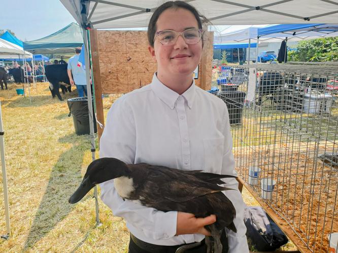 Silvana Fair: Where roots run deep and livestock steal the show | SC ...