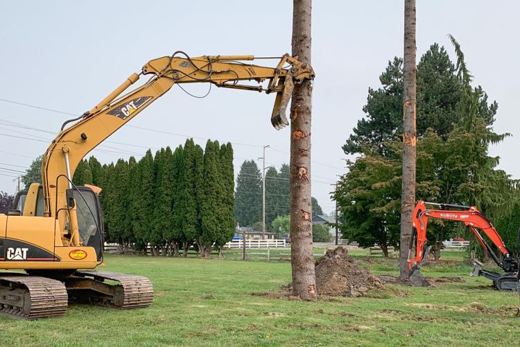 Sedro-Woolley FFA logging rodeo team to get home grounds | News ...