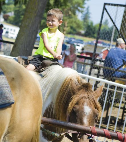 Photo Gallery: Stanwood Camano Community Fair, 8.3.19 | Gallery ...