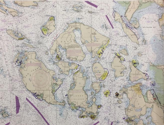 Samish tribe helping to study local kelp forests | Local News ...