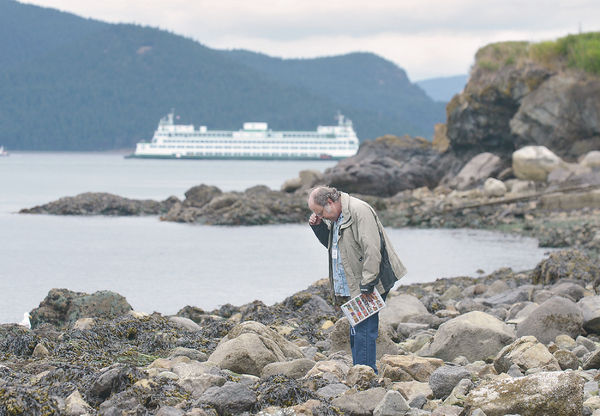Umbrella group corrals Skagit beach watchers | All Access | goskagit.com