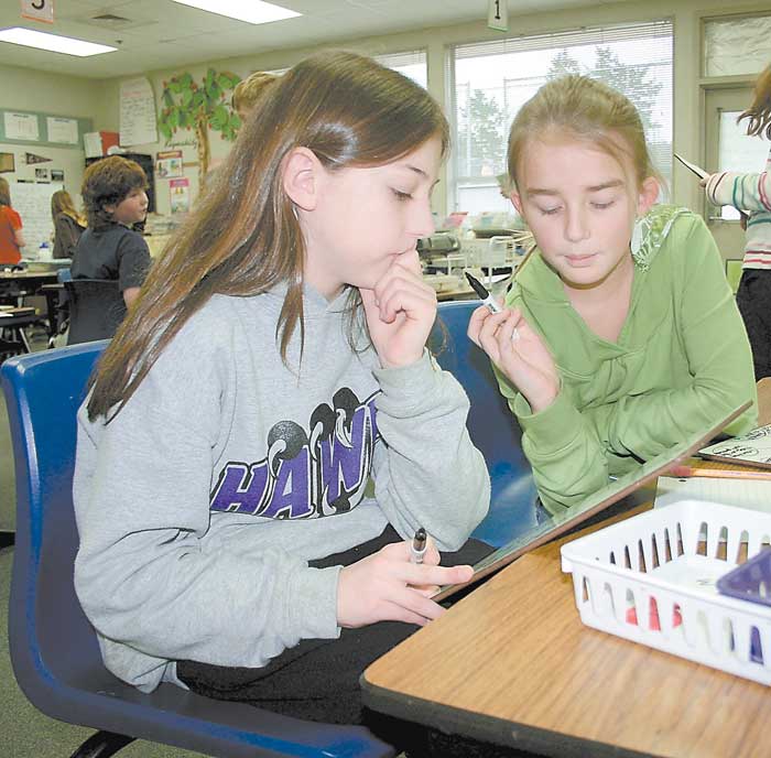Mount Erie Elementary has social studies teacher of the year | News ...