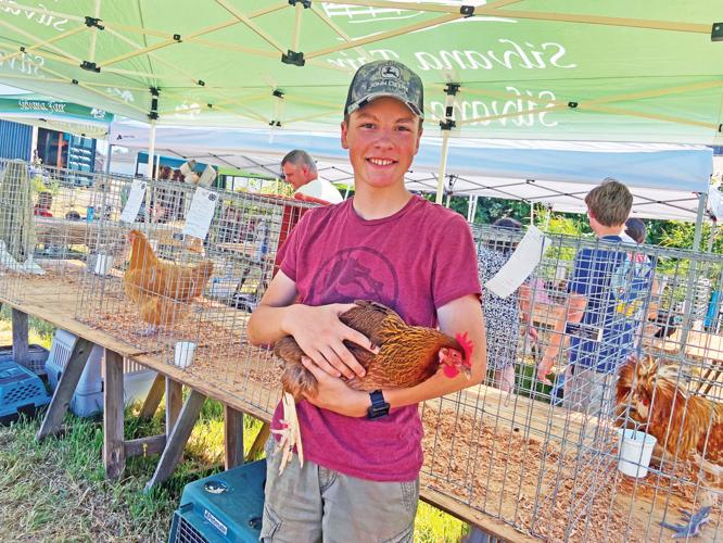 Kids show animals, learn skills at annual Silvana Fair | News ...