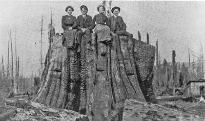 News Files: Forest fires ravaged Cedarhome area in 1910 | News ...