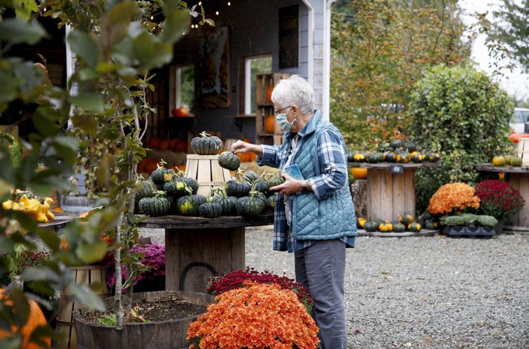 Gordon Skagit Farms showcases odd, unique pumpkins | Local News ...