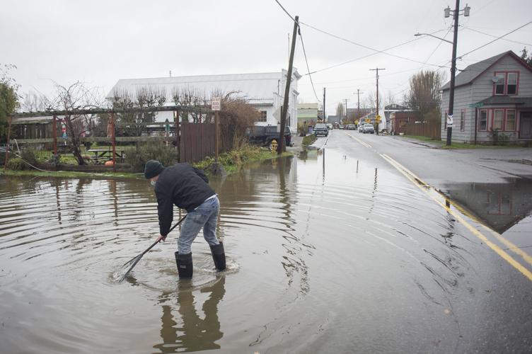 Tidal flooding inundates Edison | Local News | goskagit.com