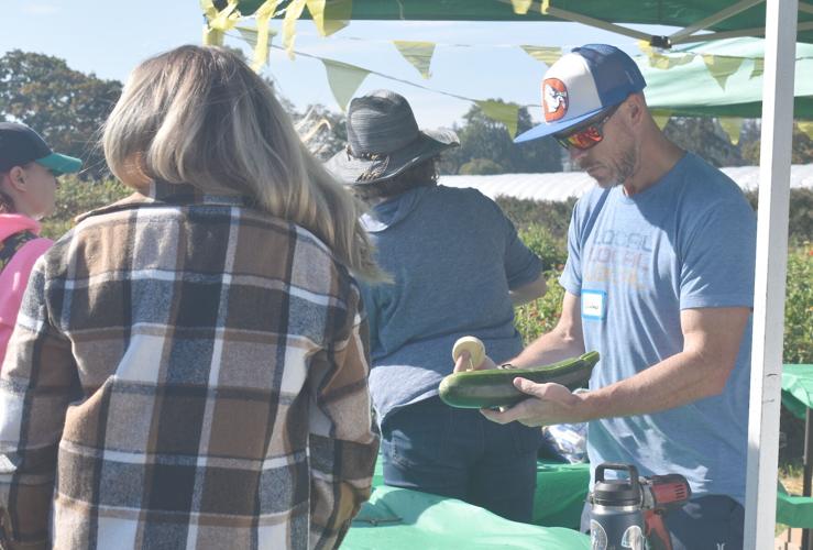 Skagit Valley Festival of Family Farms gets families out to farms ...