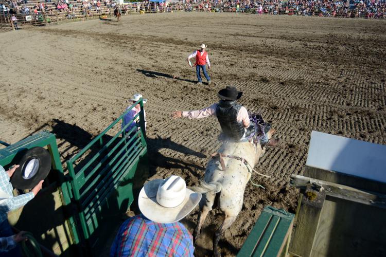 2015 Sedro-Woolley Rodeo | Gallery | goskagit.com
