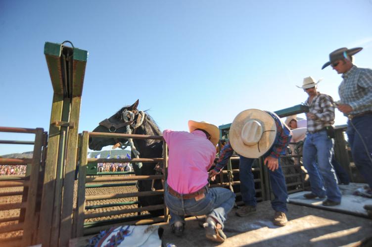 2015 Sedro-Woolley Rodeo | Gallery | goskagit.com