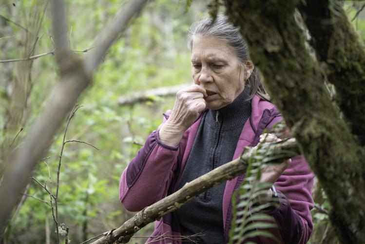 Native plants remain important to member of Samish Indian Nation ...