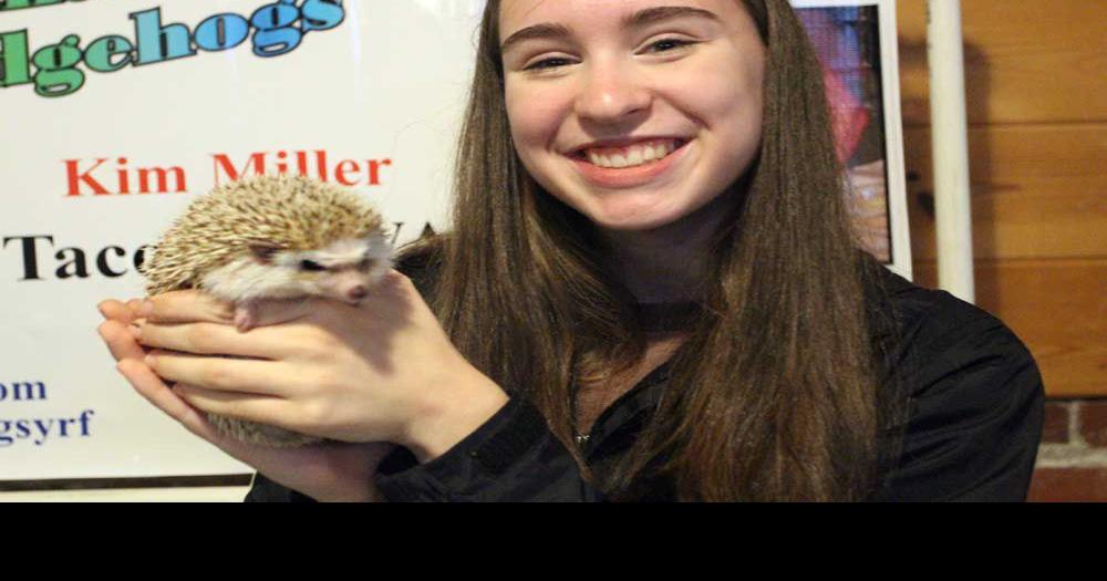 Hedgehog show features prickly creatures | Arts And Community ...
