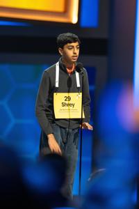 Spelling Bee | National News | goskagit.com