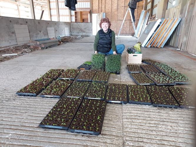 Puget Sound Public Farms wraps up successful first year at Ovenell ...