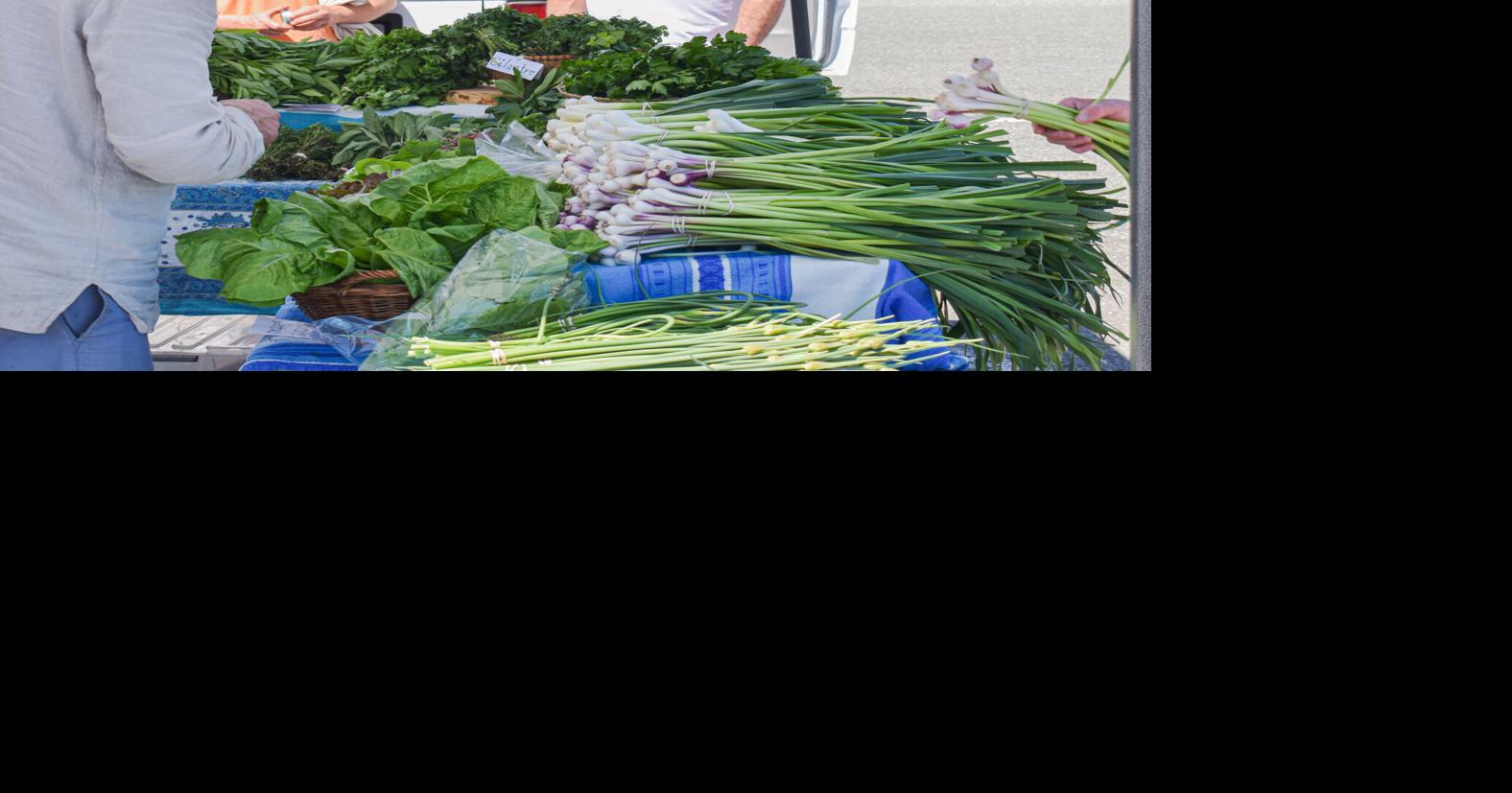 Senior Farmers Market Nutrition Program returns for 2025 season | SC ...
