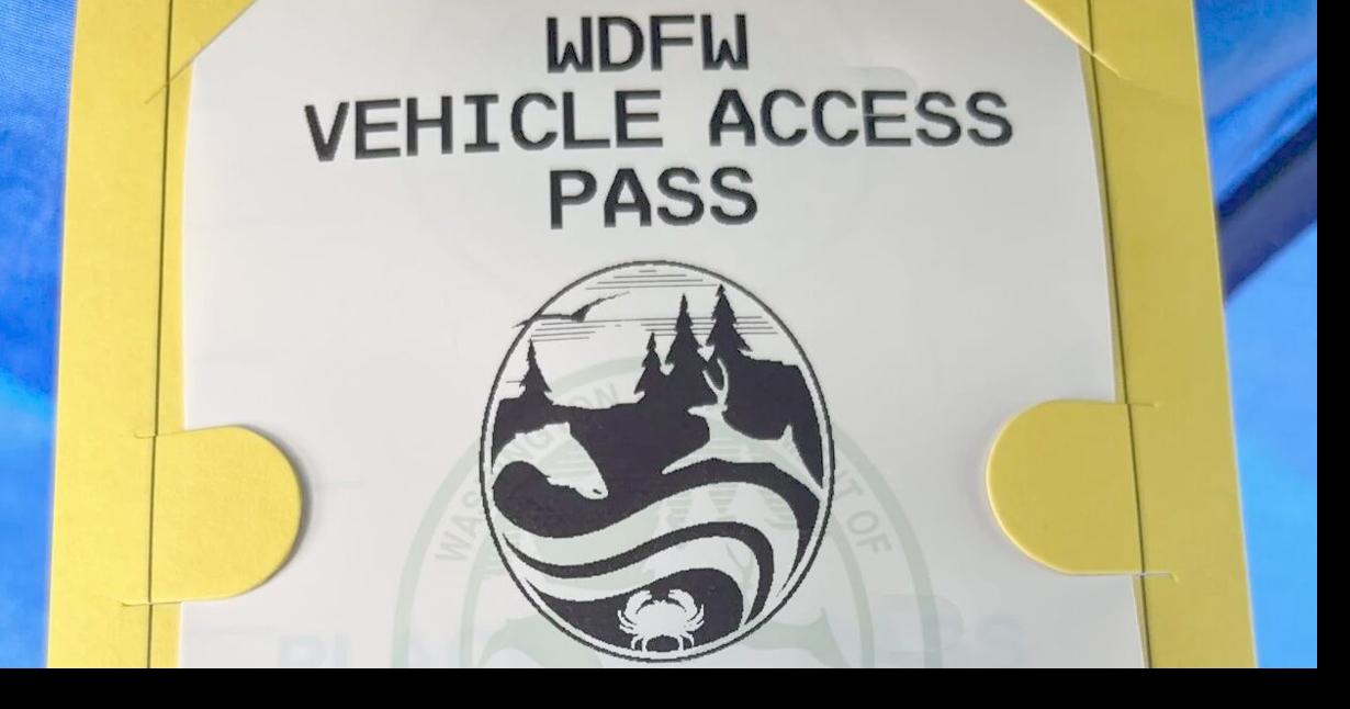 Era of waterproof, tear-resistant licenses coming to an end | Local ...