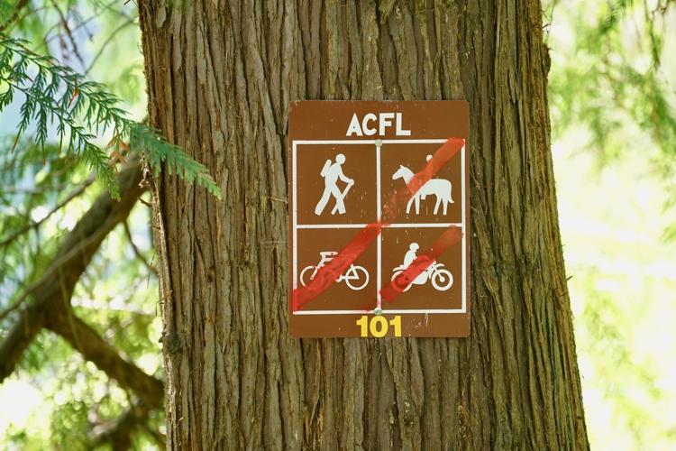 Anacortes council adopts updated forest plan, considers related code ...