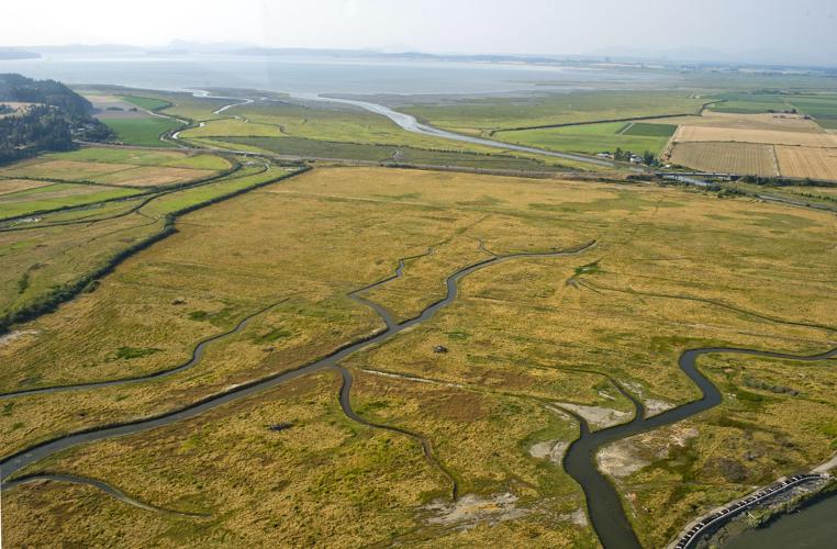 Second phase of Leque Island restoration slated for summer | News ...