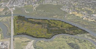 Blue Heron Slough site of salmon restoration | News | goskagit.com