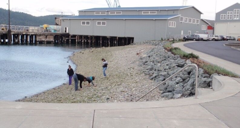 Port, Ecology partnership has led to $64 million in environmental ...