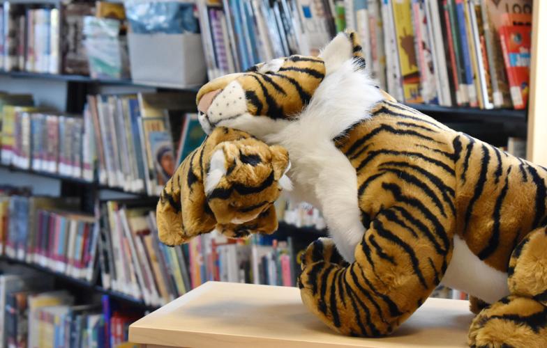 Upper Skagit Library opens at new location | Local News | goskagit.com