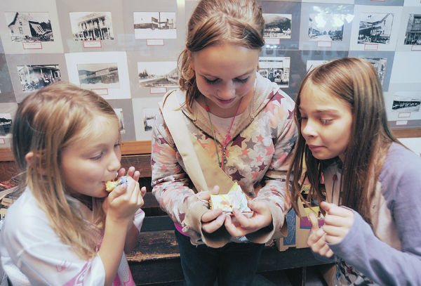 Girl Scouts help library grow at Hamilton Town Hall | All Access ...