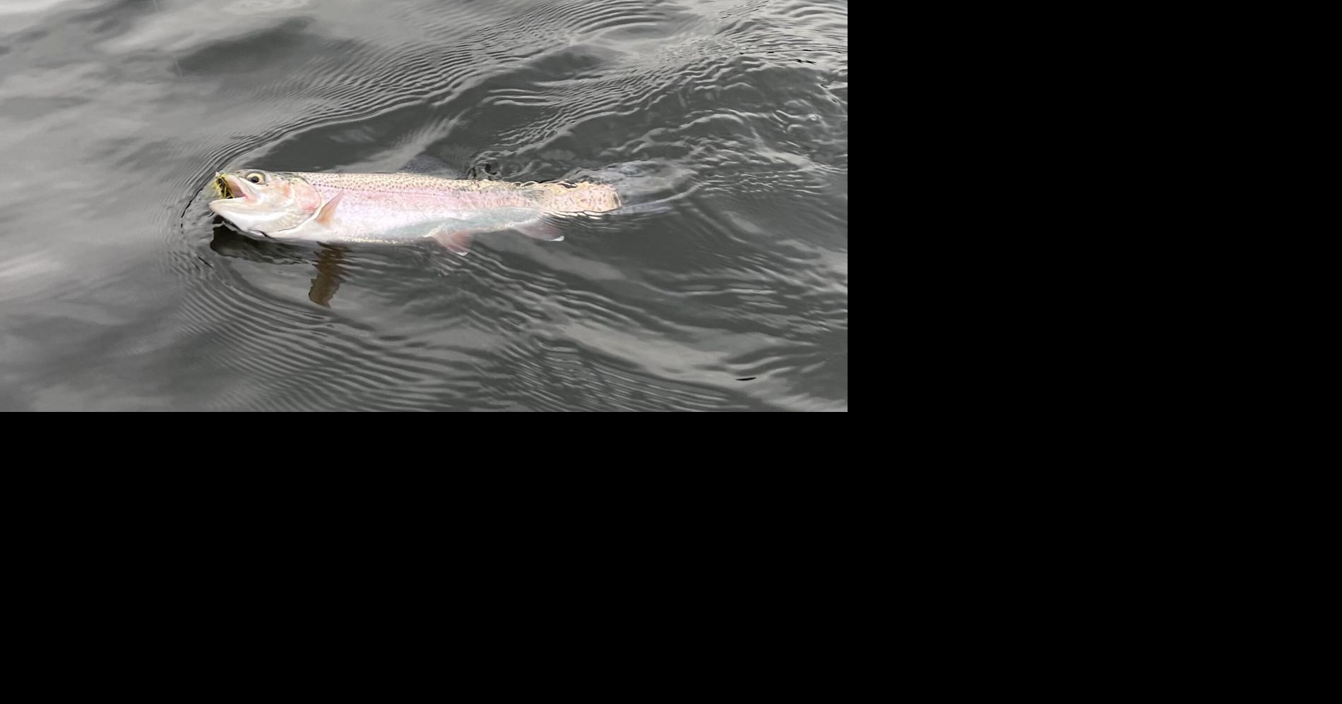 Opening day of lowland lakes fishing season looms | Sport Fishing ...