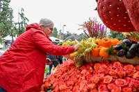 AHF Rose Parade Float Honors Wildfire and Hunger Relief Efforts ...