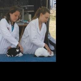 Silvana Fair kicks off summer | Archives | goskagit.com