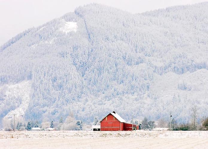 Tuesday snow scenes | Gallery | goskagit.com