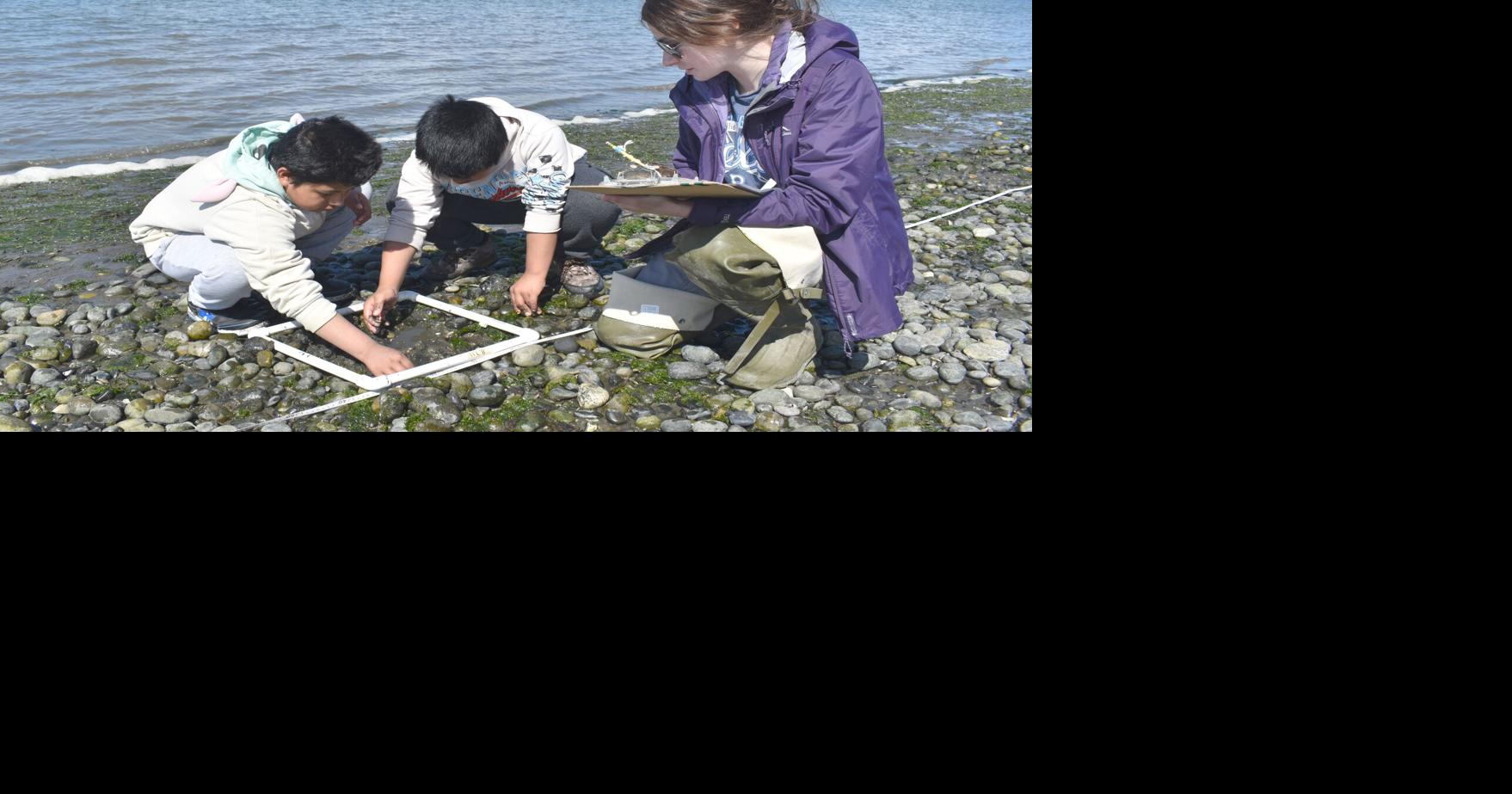Fifth-grade students learn about shoreline ecosystems | Education ...