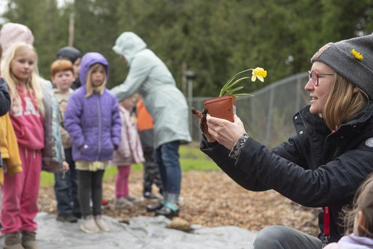 Sedro-Woolley elementary schools begin planting in school gardens ...